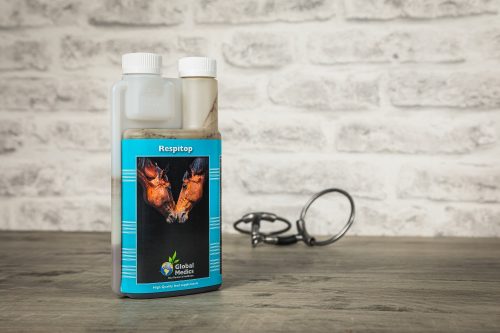 All about your horse's breathing - Global Medics